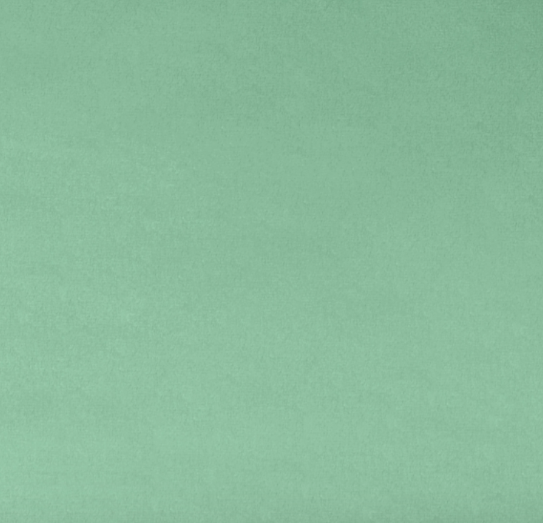 Solid Cuddle Extra Wide - Spearmint | Lemon Quilts, LLC